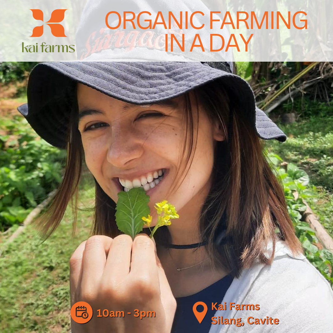 Organic Farming in a Day – kai farms